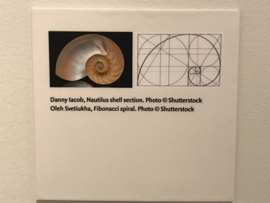 Math Art | fibonaccisusan